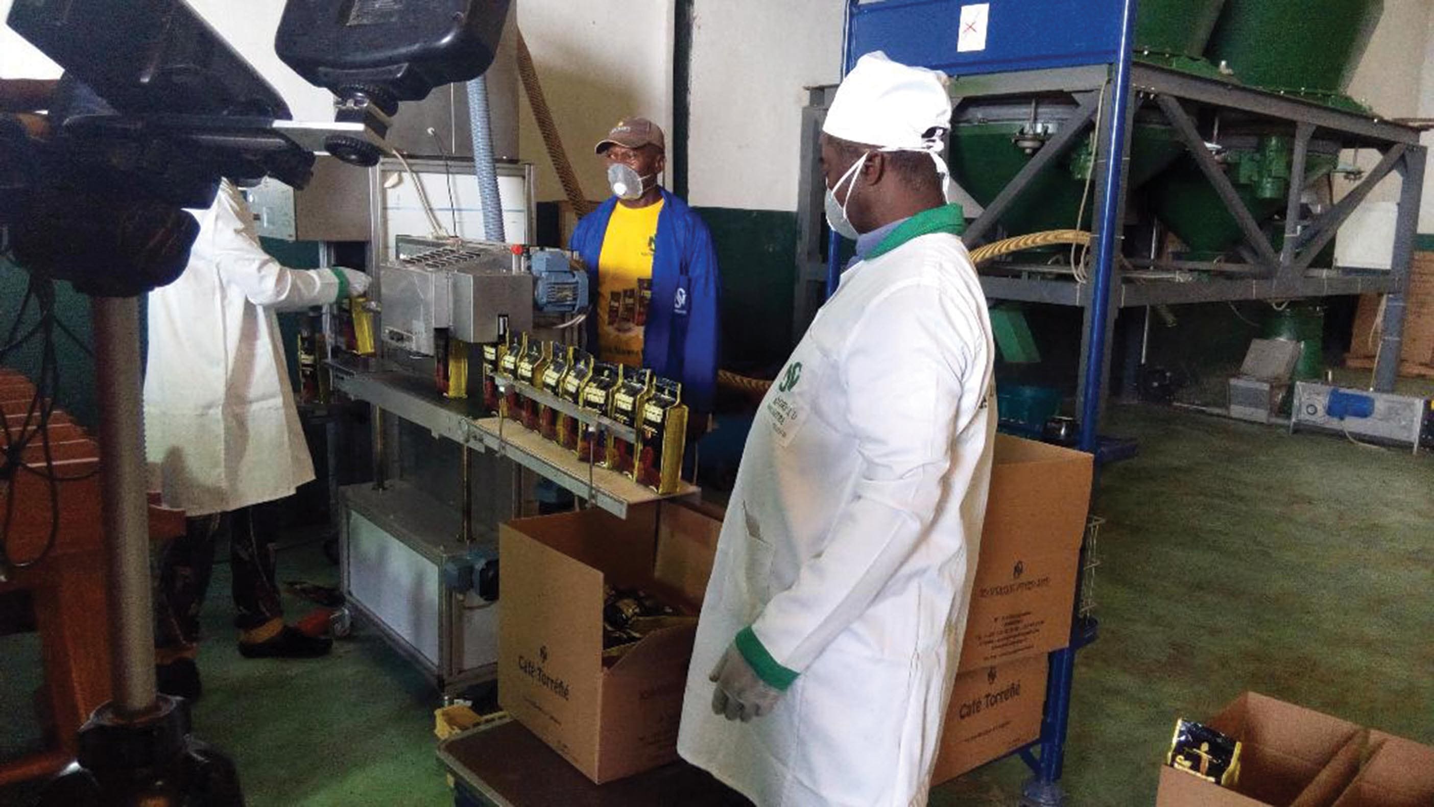 Cameroun : 900 millions de FCFA pour la relance du café